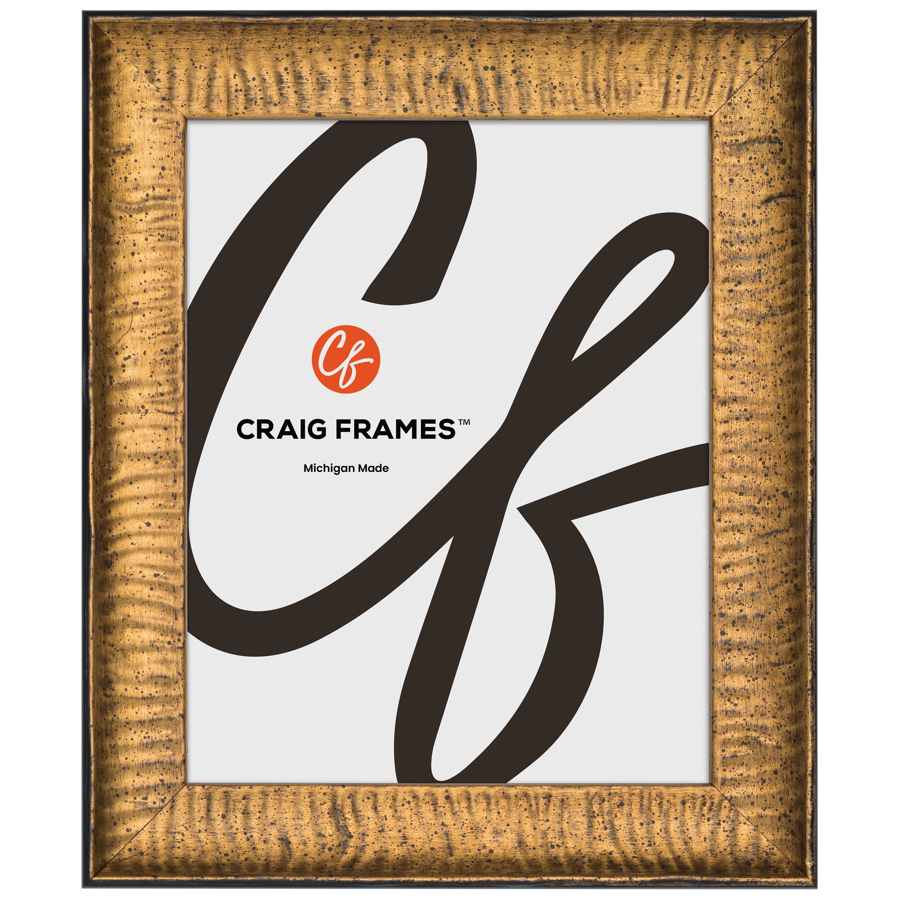 Craig Frames Safari, 10x14 Picture Frame, Gold - Walmart.com