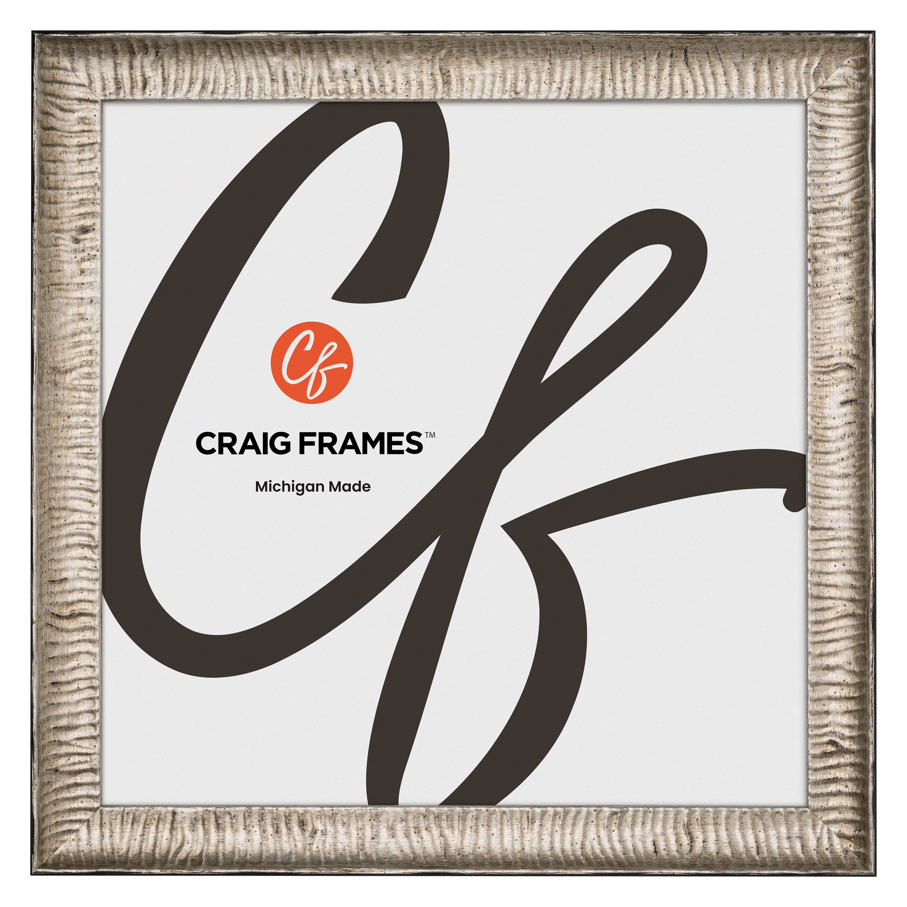 Craig Frames Safari, 20x20 Picture Frame, Silver - Walmart.com