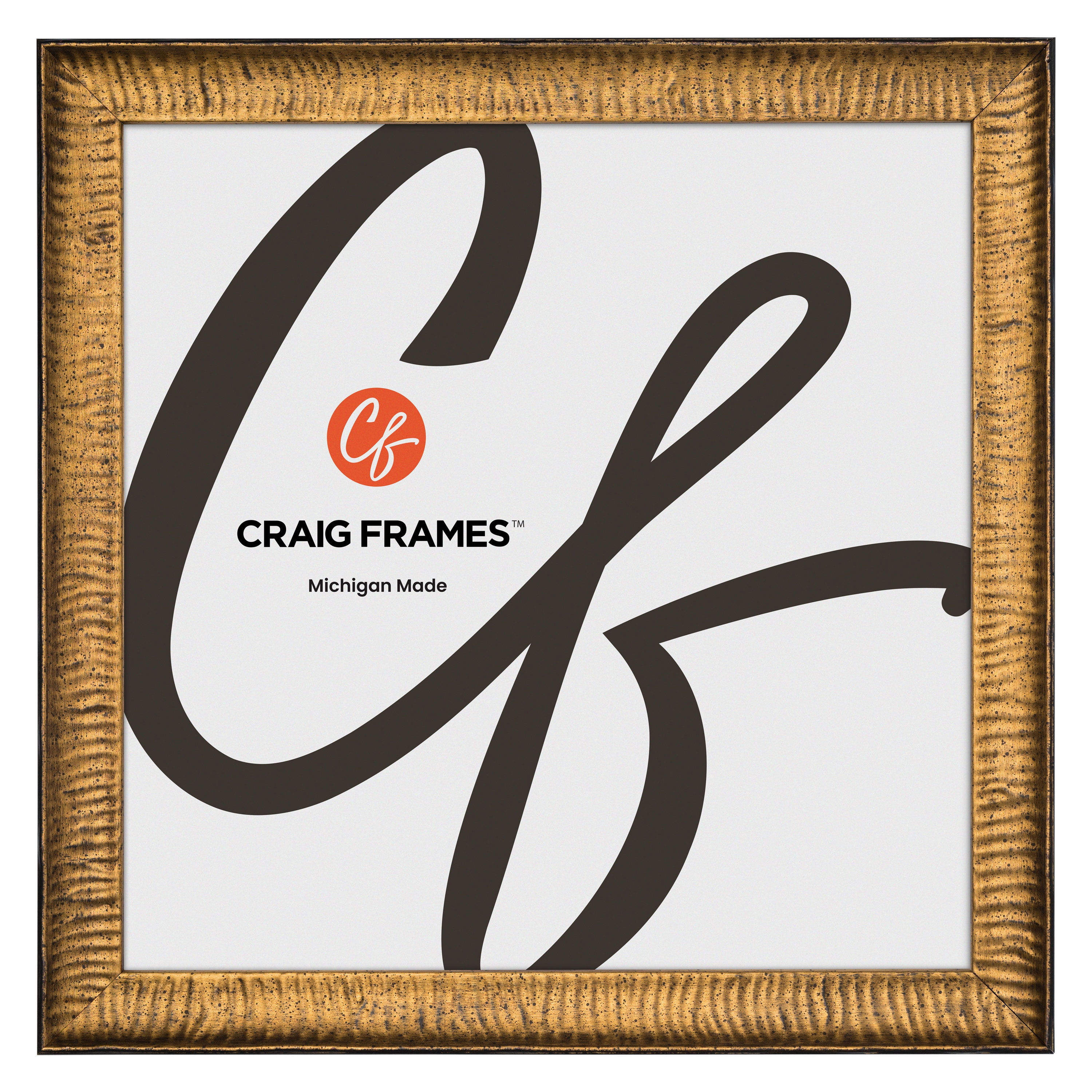 Craig Frames Safari, 22x22 Picture Frame, Gold - Walmart.com