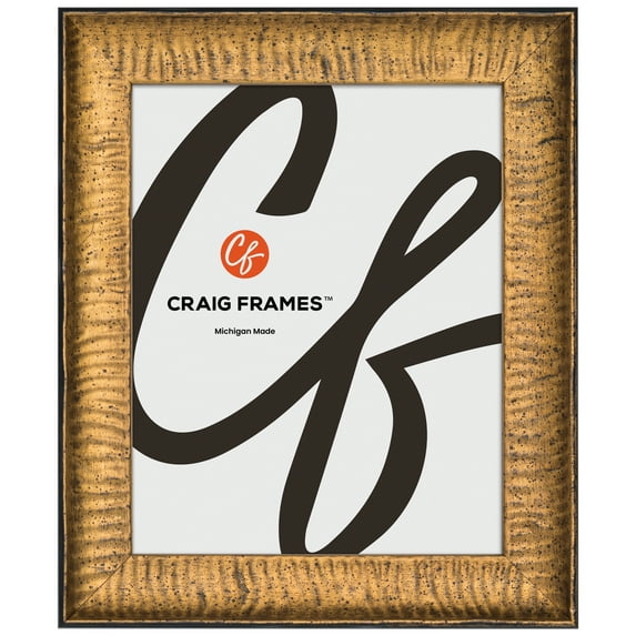 Craig Frames Safari, 9x13 Picture Frame, Gold - Walmart.com
