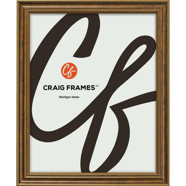 Craig Frames Stratton, 18x22 inch Picture Frame, Aged Bronze - Walmart.com