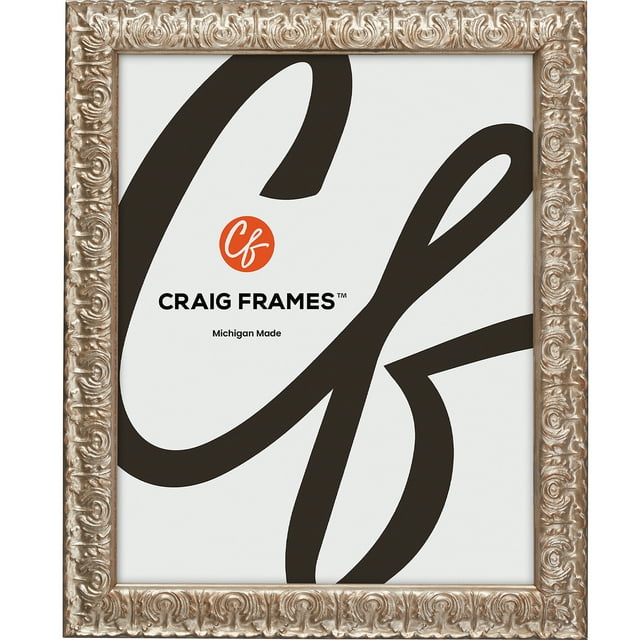 Craig Frames Versailles, 18x30 inch Picture Frame, Silver - Walmart.com
