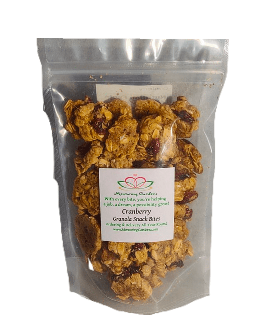 Cranberry Granola Snack Bites - Walmart.com