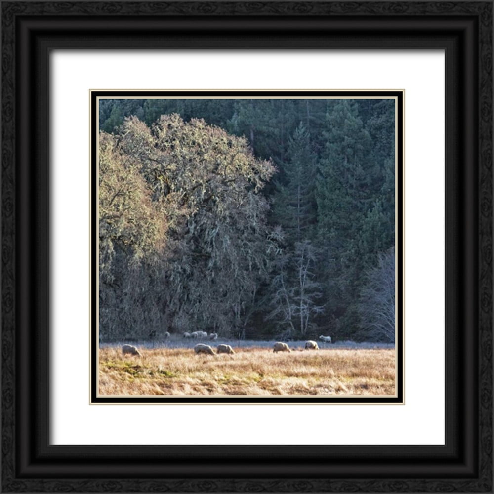 Crane, Rita 12x12 Black Ornate Wood Framed with Double Matting Museum ...