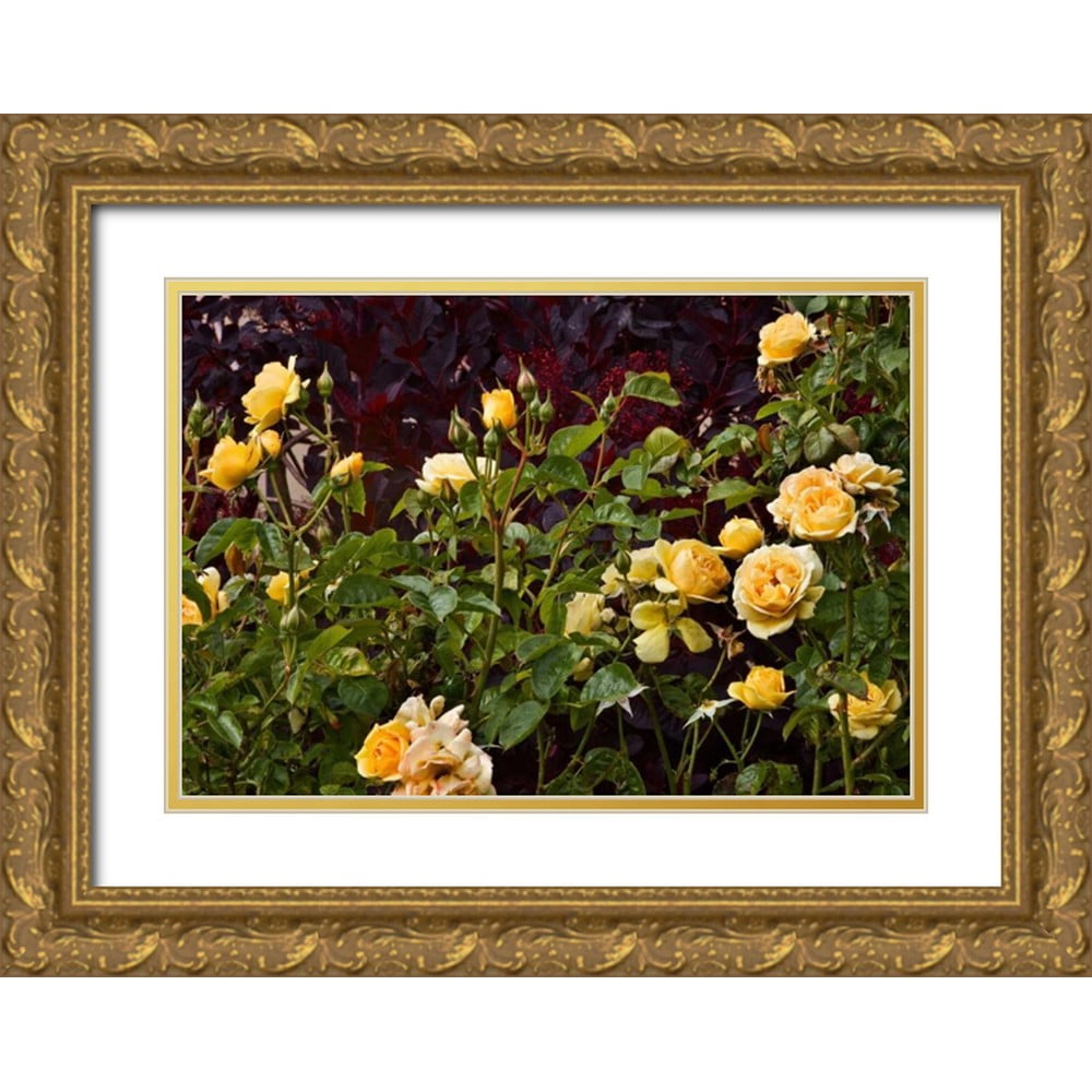 Crane, Rita 14x11 Gold Ornate Wood Framed with Double Matting Museum ...
