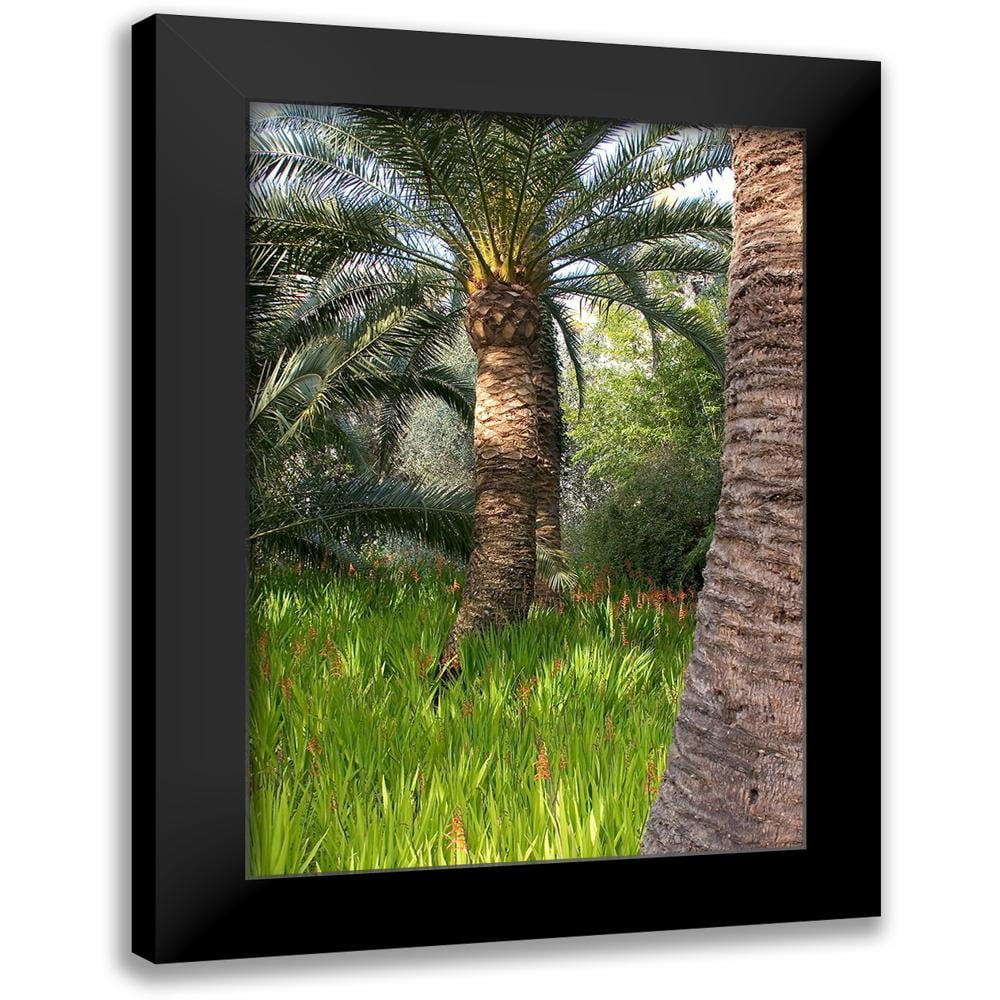 Crane, Rita 14x18 Black Modern Framed Museum Art Print Titled - Riviera ...
