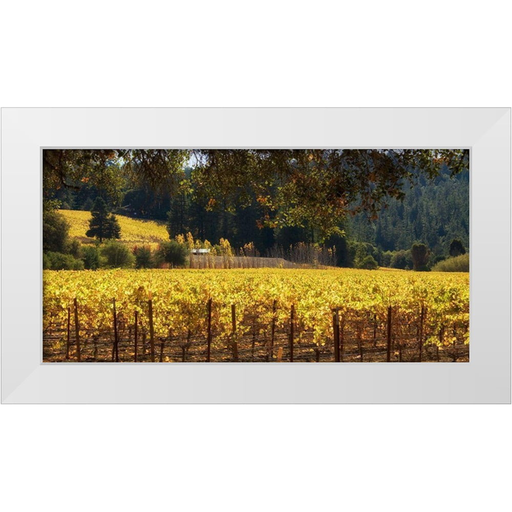 Crane, Rita 14x9 White Modern Wood Framed Museum Art Print Titled ...