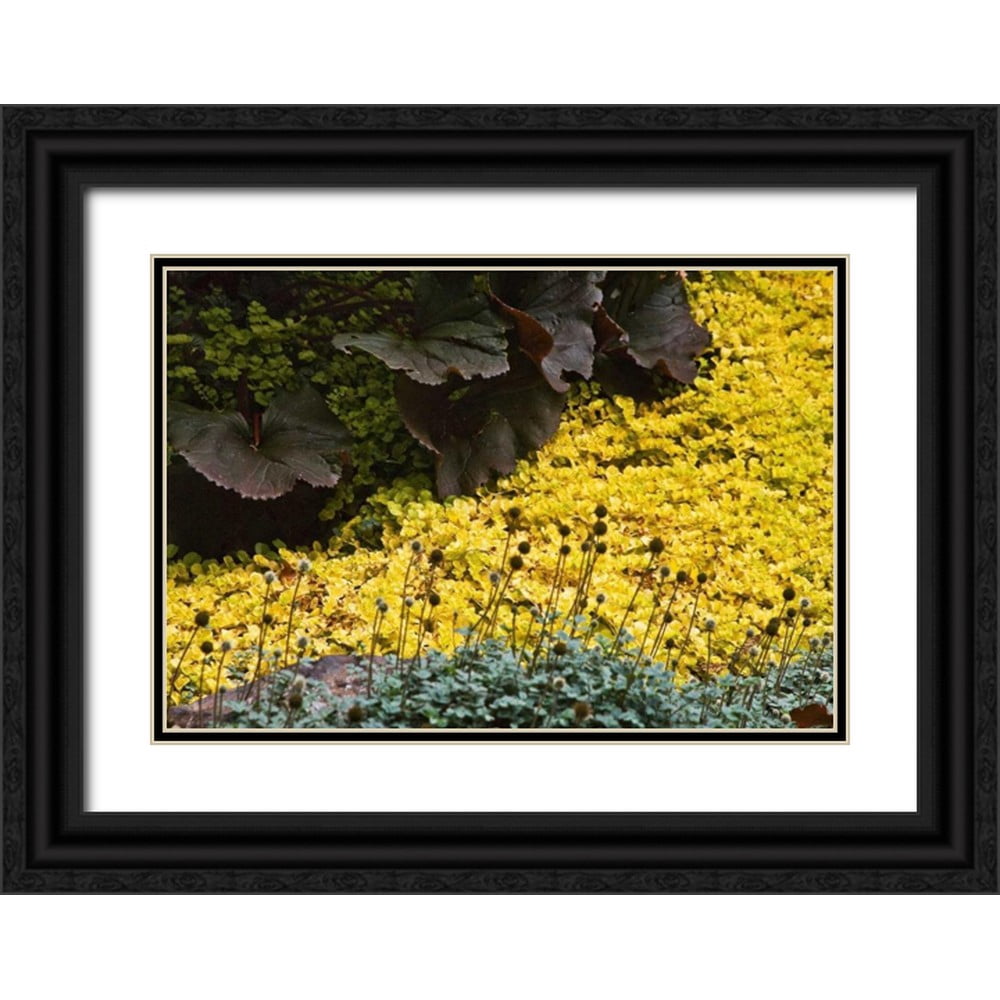Crane, Rita 18x14 Black Ornate Wood Framed with Double Matting Museum ...