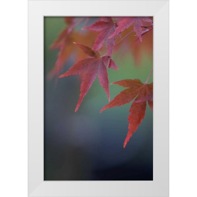 Crane, Rita 23x32 White Modern Wood Framed Museum Art Print Titled ... Crane, Rita 23x32 White Modern Wood Framed Museum Art Print Titled ...