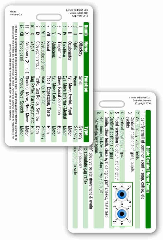 Cranial Nerve Exam Vertical Badge Card (Pack of 5) - Walmart.com