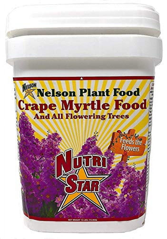 Crape Myrtle & All Flowering Trees Desert Willow Mimosa Orchid Tree Indoor Outdoor Container ...