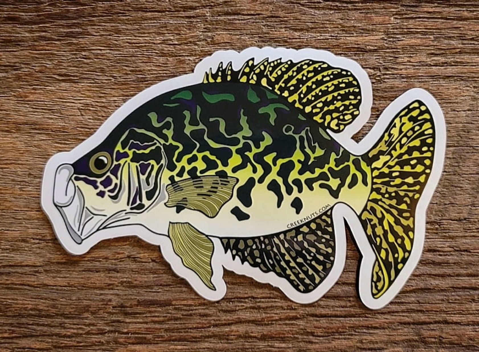 Crappie Sticker Decal - Walmart.com