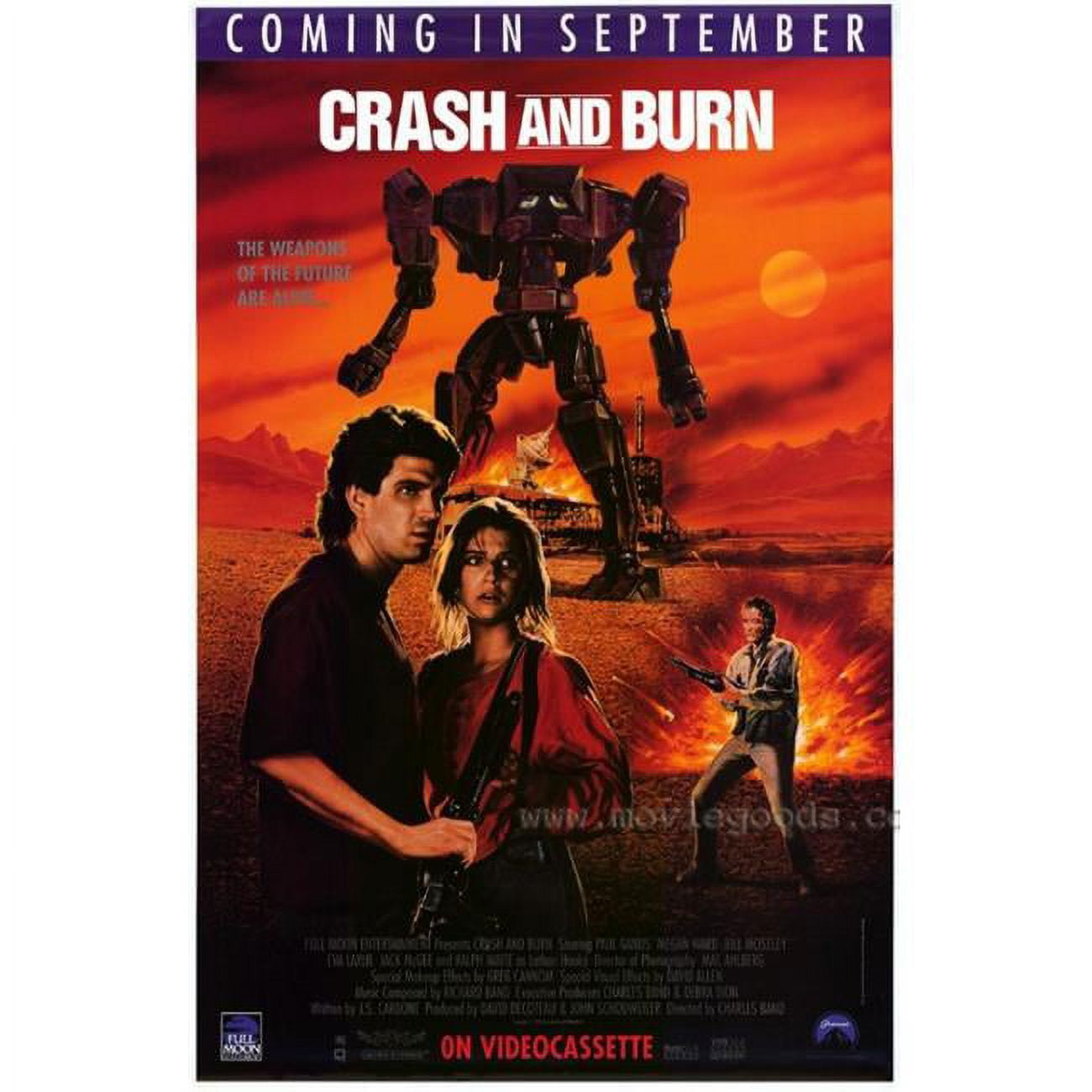 Crash & Burn Movie Poster - 27 x 40 in. - Walmart.com