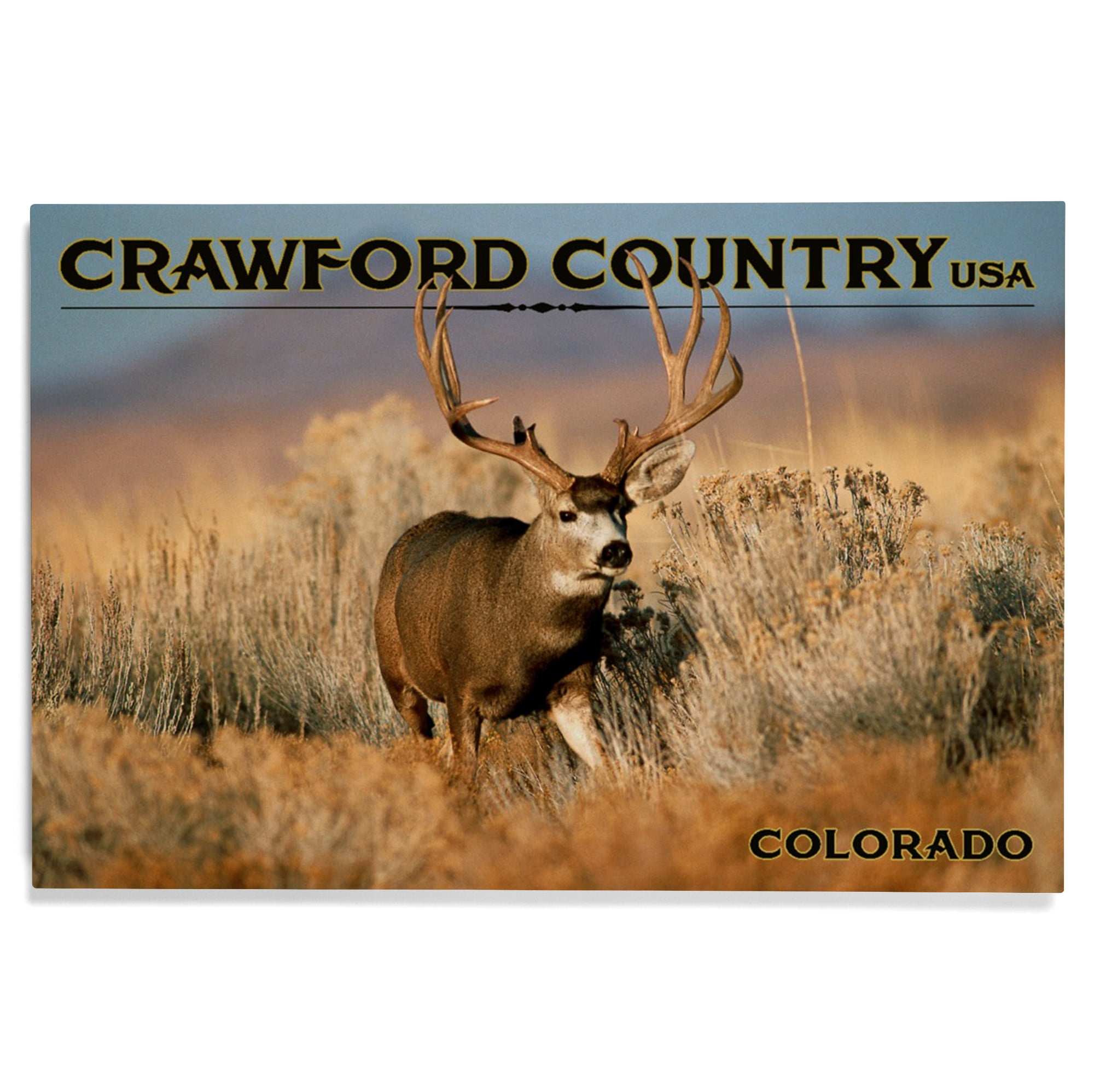 Crawford Country USA, Colorado, Mule Deer in Field Birch Wood Wall Sign ...