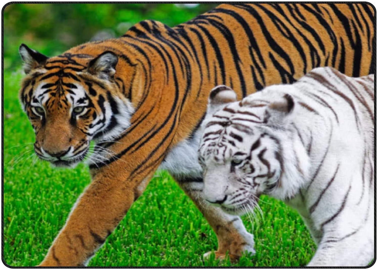 Crawling Indoor Carpet Play Mat Bengal Tiger for Living Room Bedroom ...