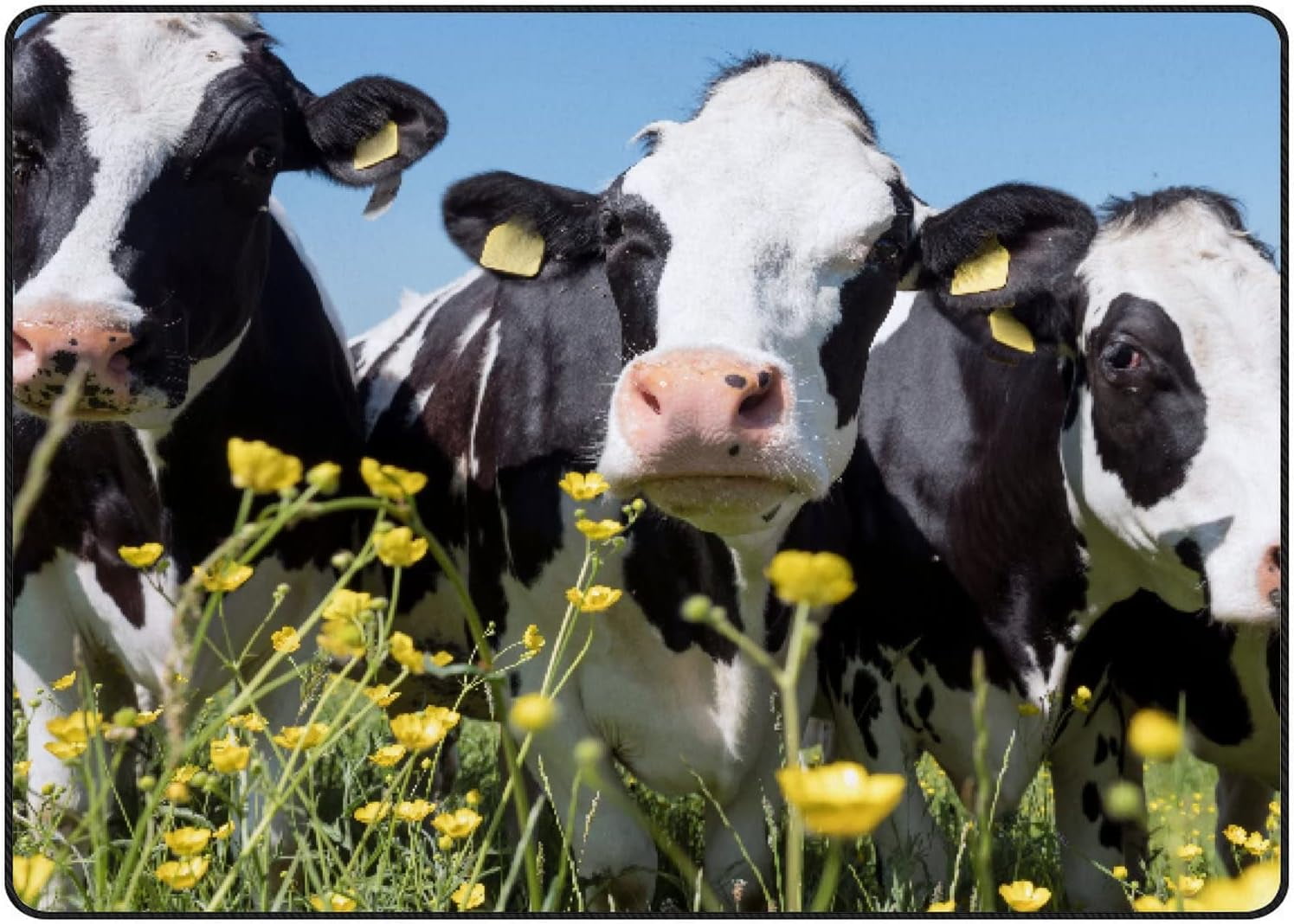 Crawling Indoor Carpet Play Mat Black and White Cows for Living Room ...