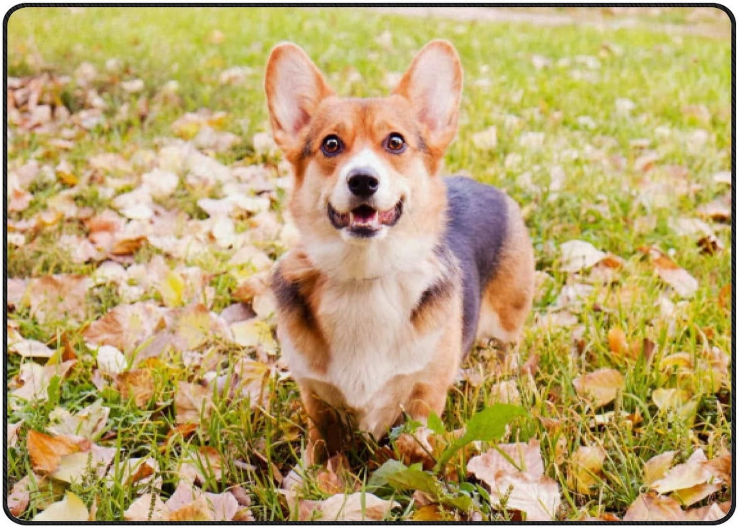 Crawling Indoor Carpet Play Mat Corgi on a Walk for Living Room Bedroom ...