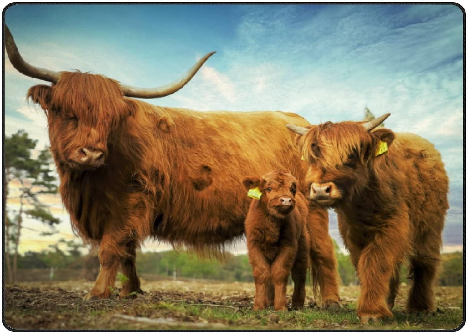 Crawling Indoor Carpet Play Mat Family Scottish Cows for Living Room ...