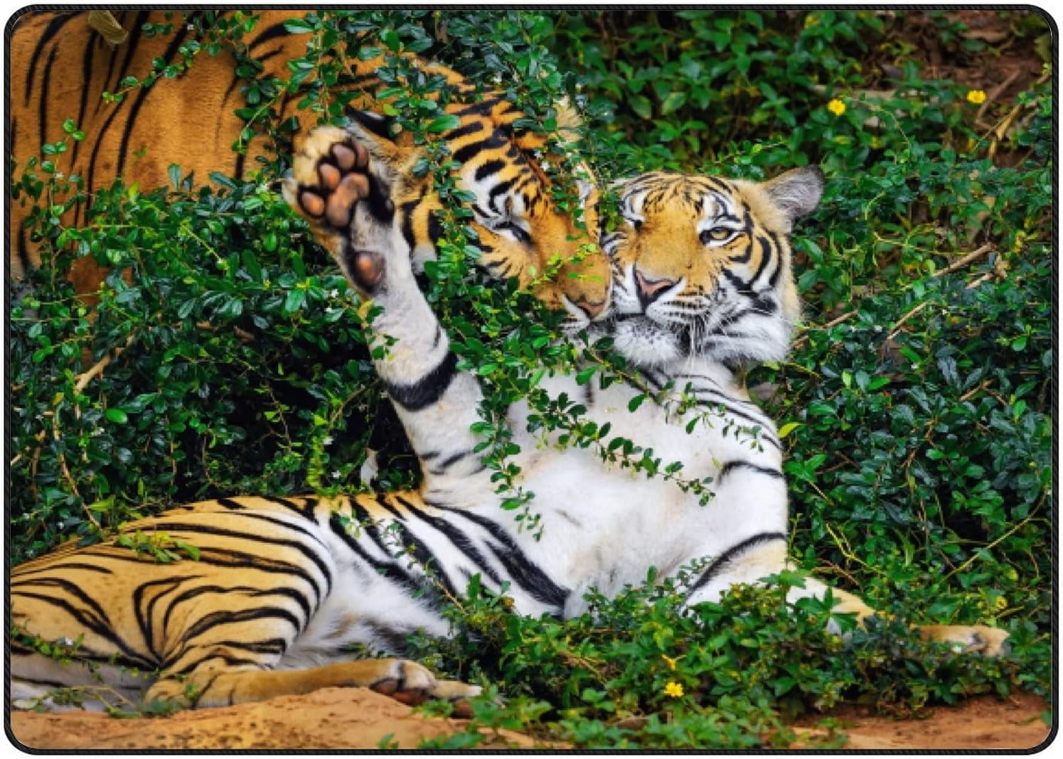 Crawling Indoor Carpet Play Mat Tigers for Living Room Bedroom ...