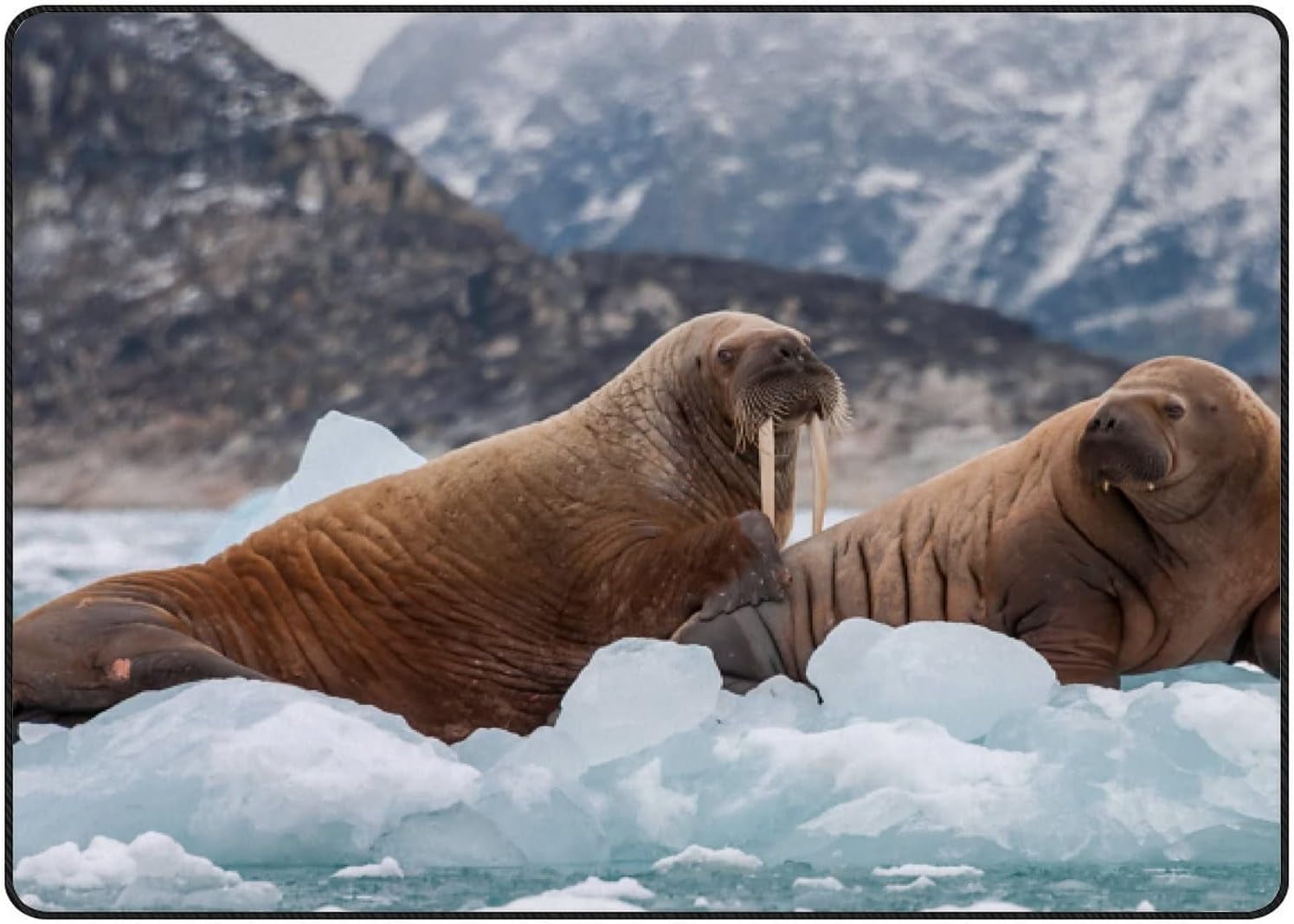 Crawling Indoor Carpet Play Mat Walrus Animals for Living Room Bedroom ...