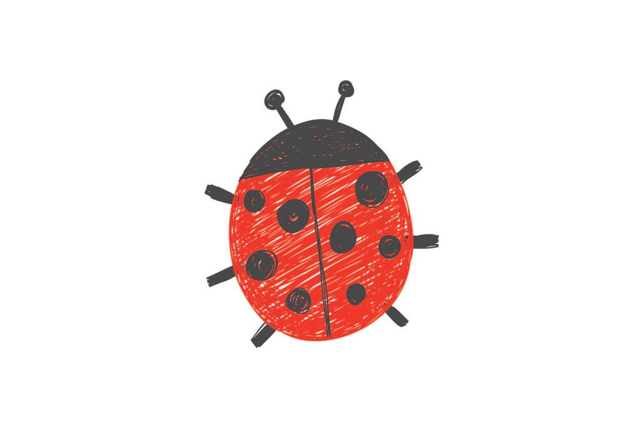 Crayon Drawn Red & Black Lady Bug Themed Birthday Photo Edible Image ...