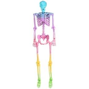 5 ft. Life Size Posable Skeleton Halloween Decoration - Walmart.com
