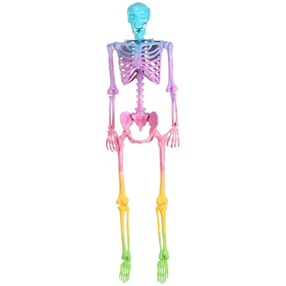 5 ft. Life Size Posable Skeleton Halloween Decoration - Walmart.com