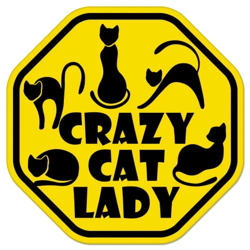 Crazy Cat Lady Sticker Decal Phone Decal Water Bottle Stickers Car ...
