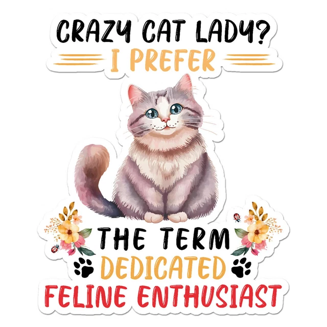 Crazy Cat Lady Sticker Phone Decal Water Bottle Stickers Car Decals ...