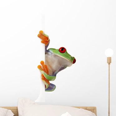 Angel Wings Angel Wings Wall Decal by Wallmonkeys Peel and Stick ...