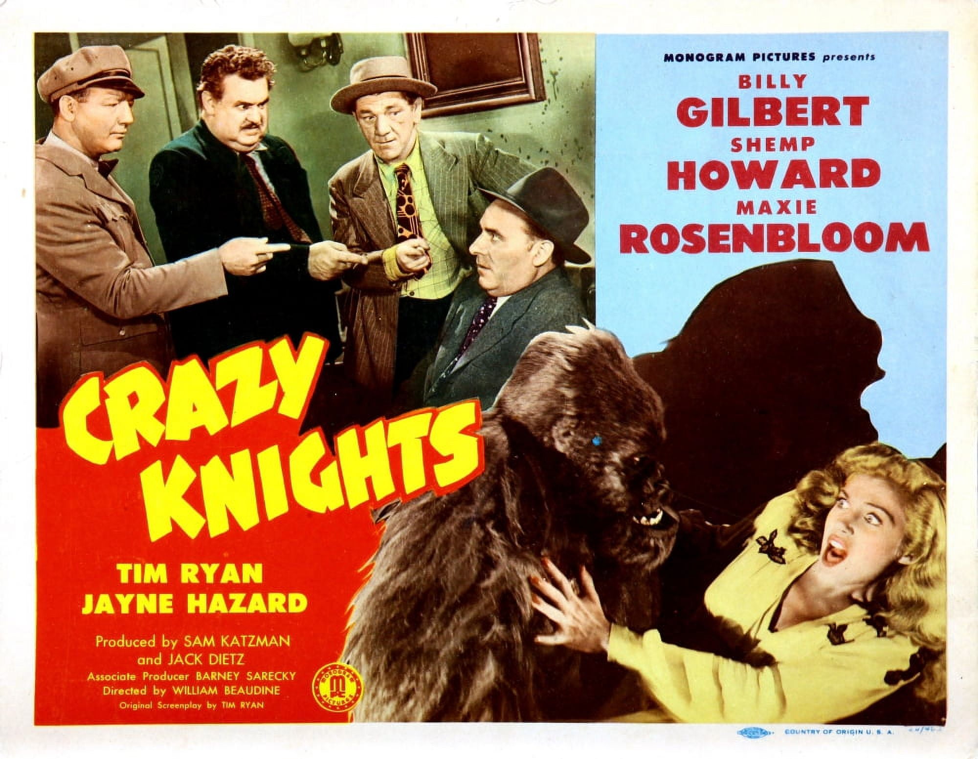 Crazy Knights Still (10 x 8) - Walmart.com
