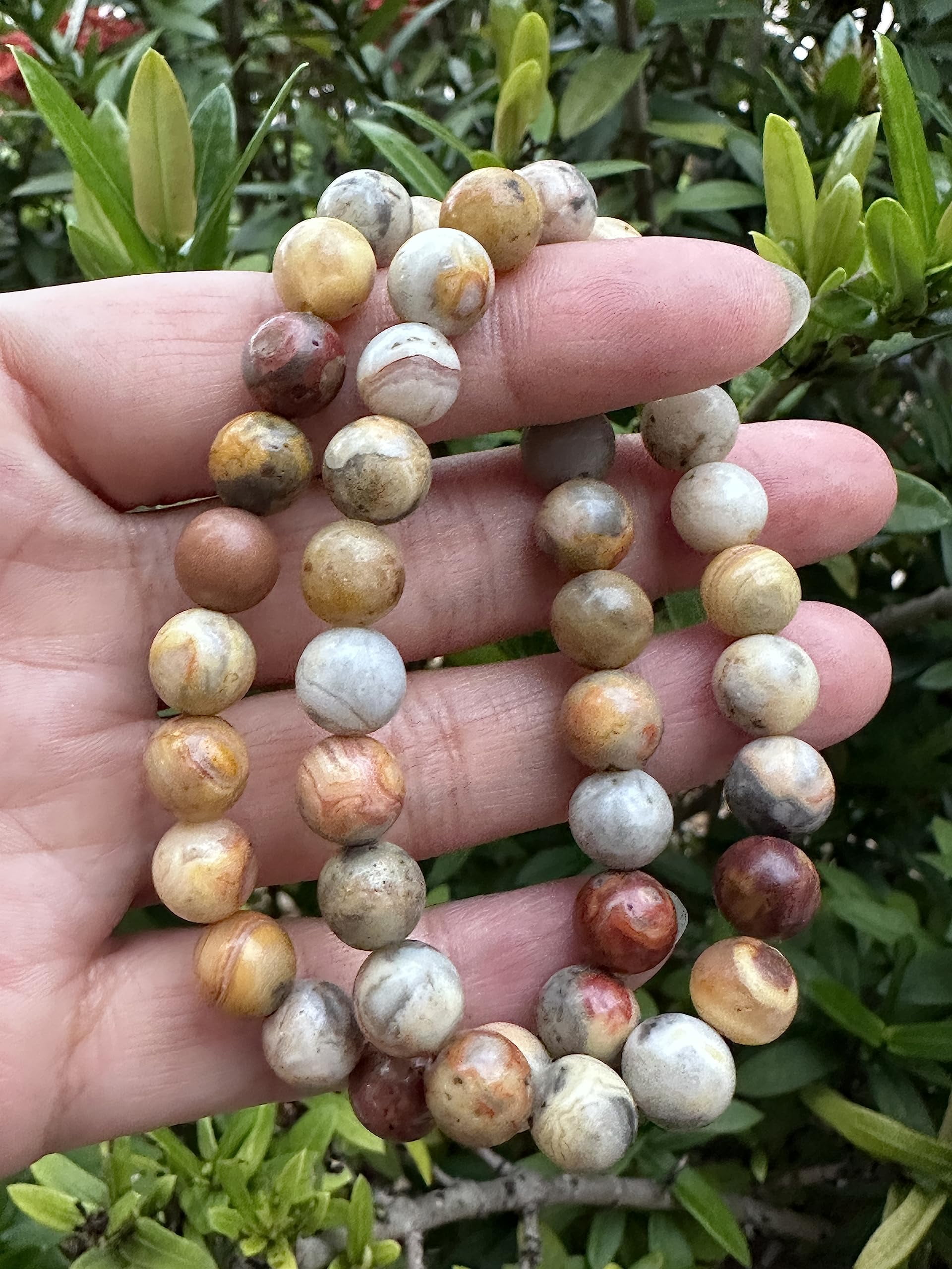 Crazy Lace Agate Crystal Bead Bracelet 8mm, Genuine Crazy Lace Agate ...