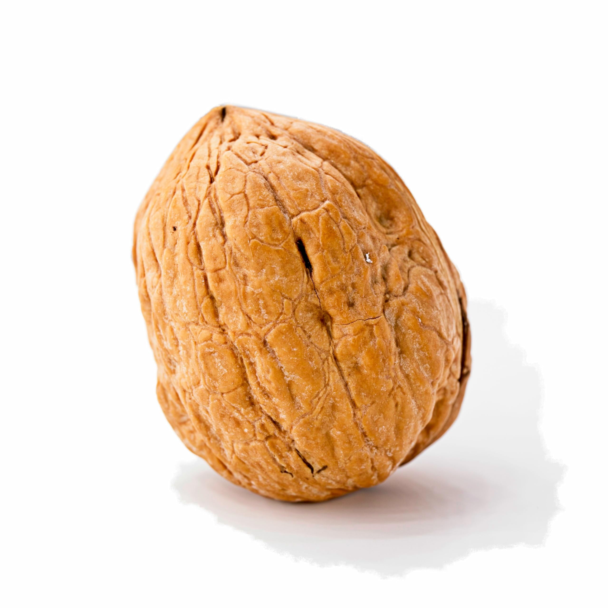 Crazy Nuts | California IEF31 Grown Whole Walnuts In Shell, 1lb | Raw ...