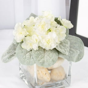 Artificial African Violets