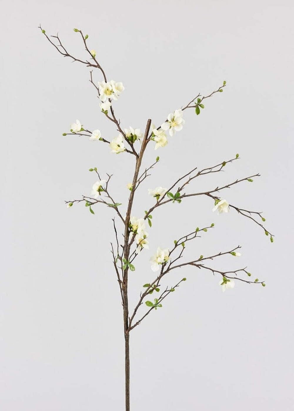 Cream Artificial Blossom Branch 57" Tall, Realistic Silk Quince Flower ...