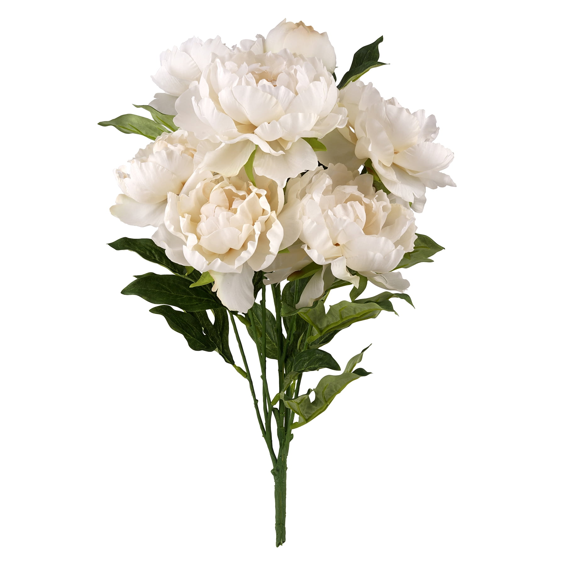 Cream Peony Bush by Ashland® - Walmart.com