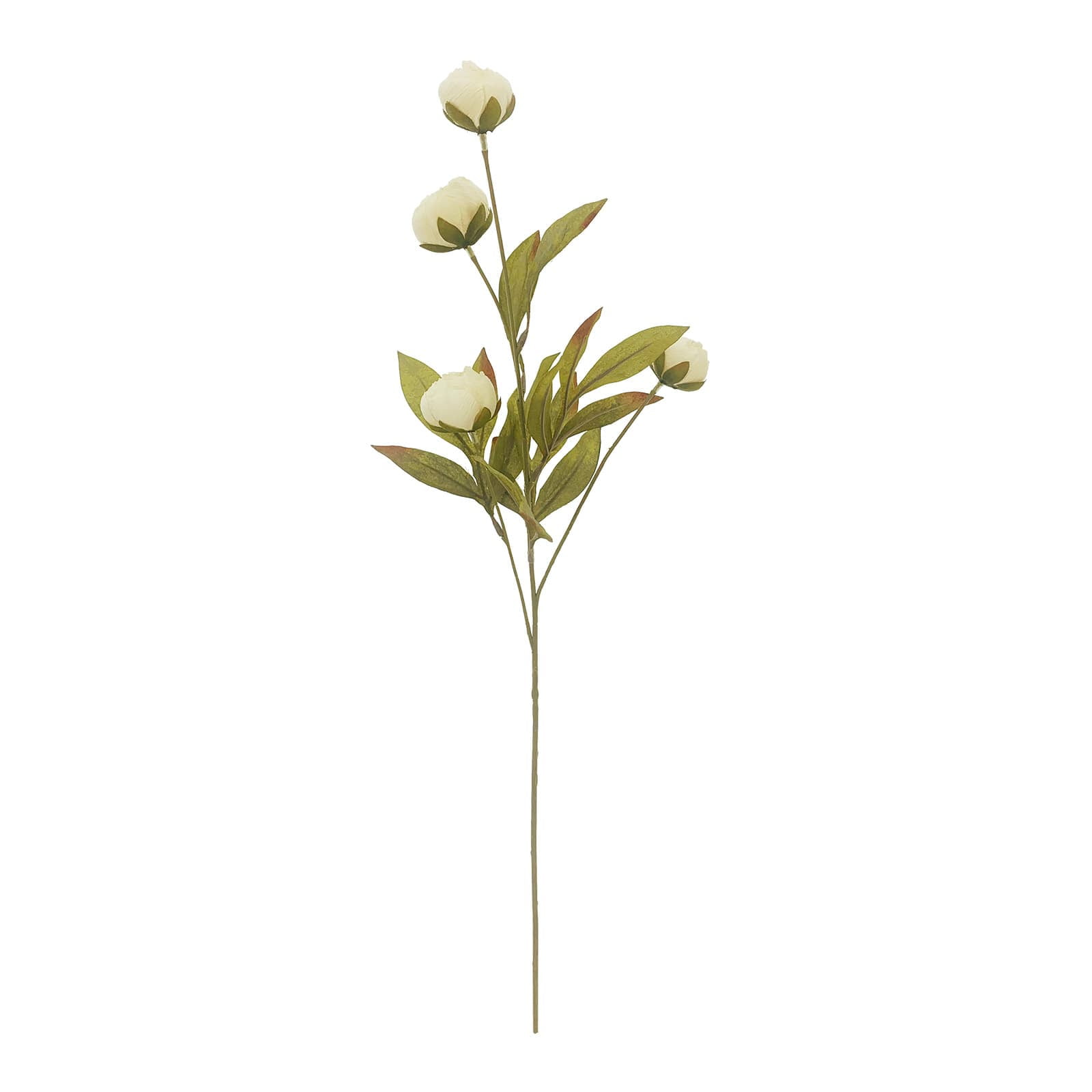 Ashland Cream Peony Stem 28 inches Floral Stem for Decorative ...