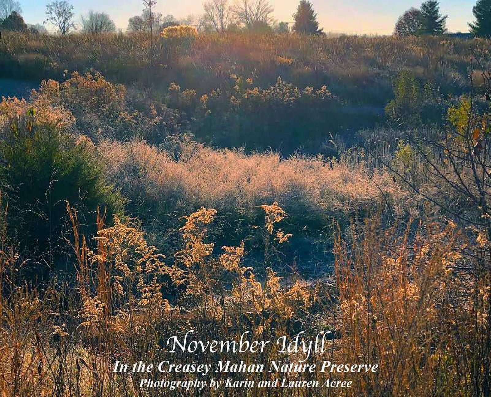 Creasey Mahan Collection: November Idyll : In the Creasey Mahan Nature ...