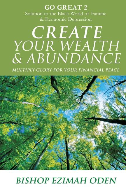 Create Your Wealth & Abundance, (Paperback) - Walmart.com
