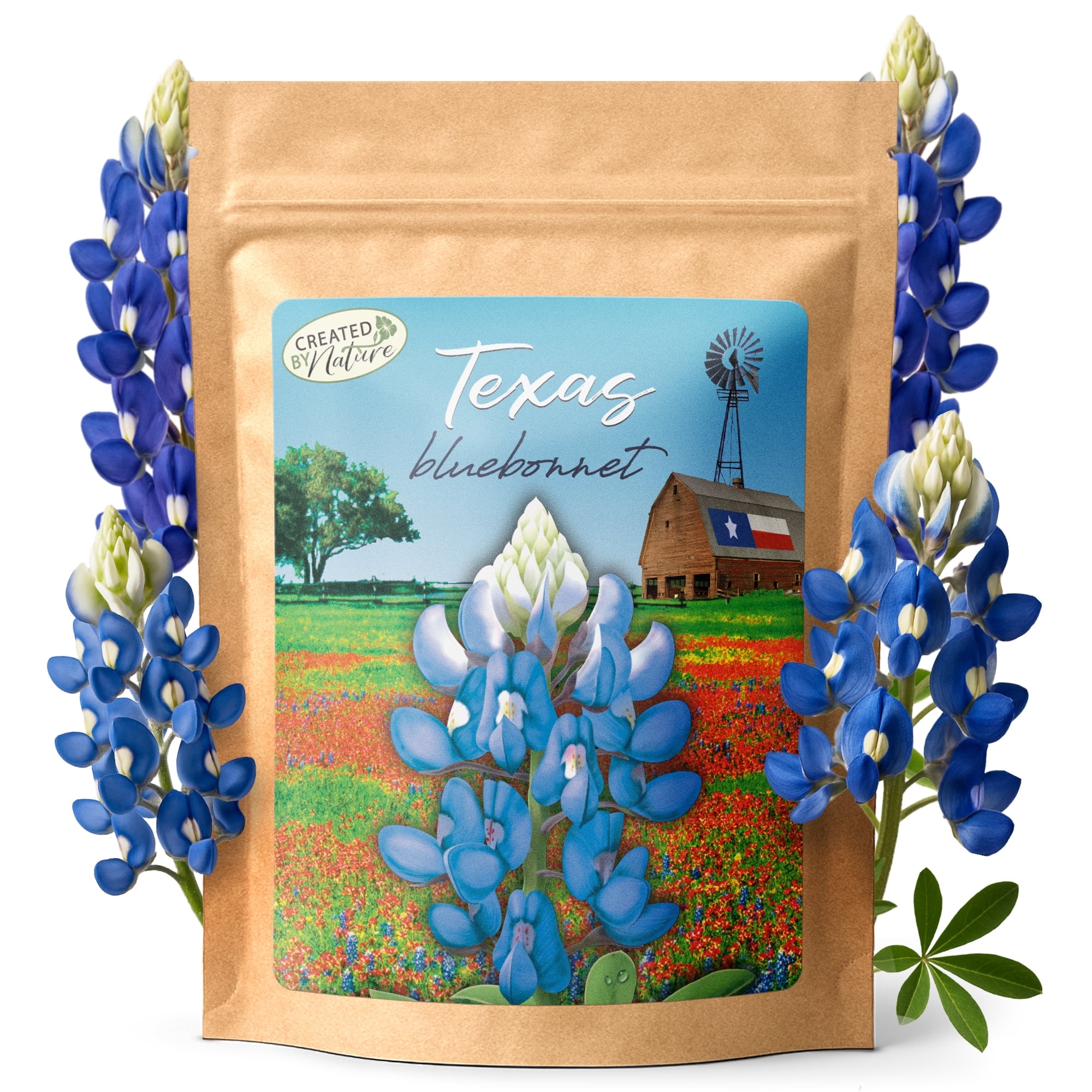 Premium Quality Texas Bluebonnet Seeds (Lupinus texensis) - Over 750 ...