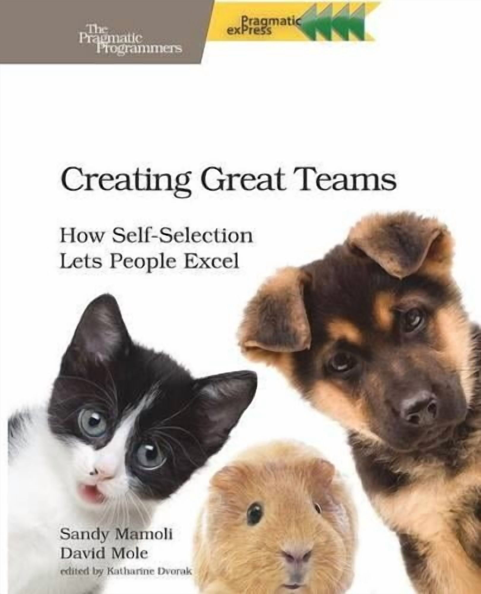 Creating Great Teams: How Self-Selection Lets People Excel (Paperback ...