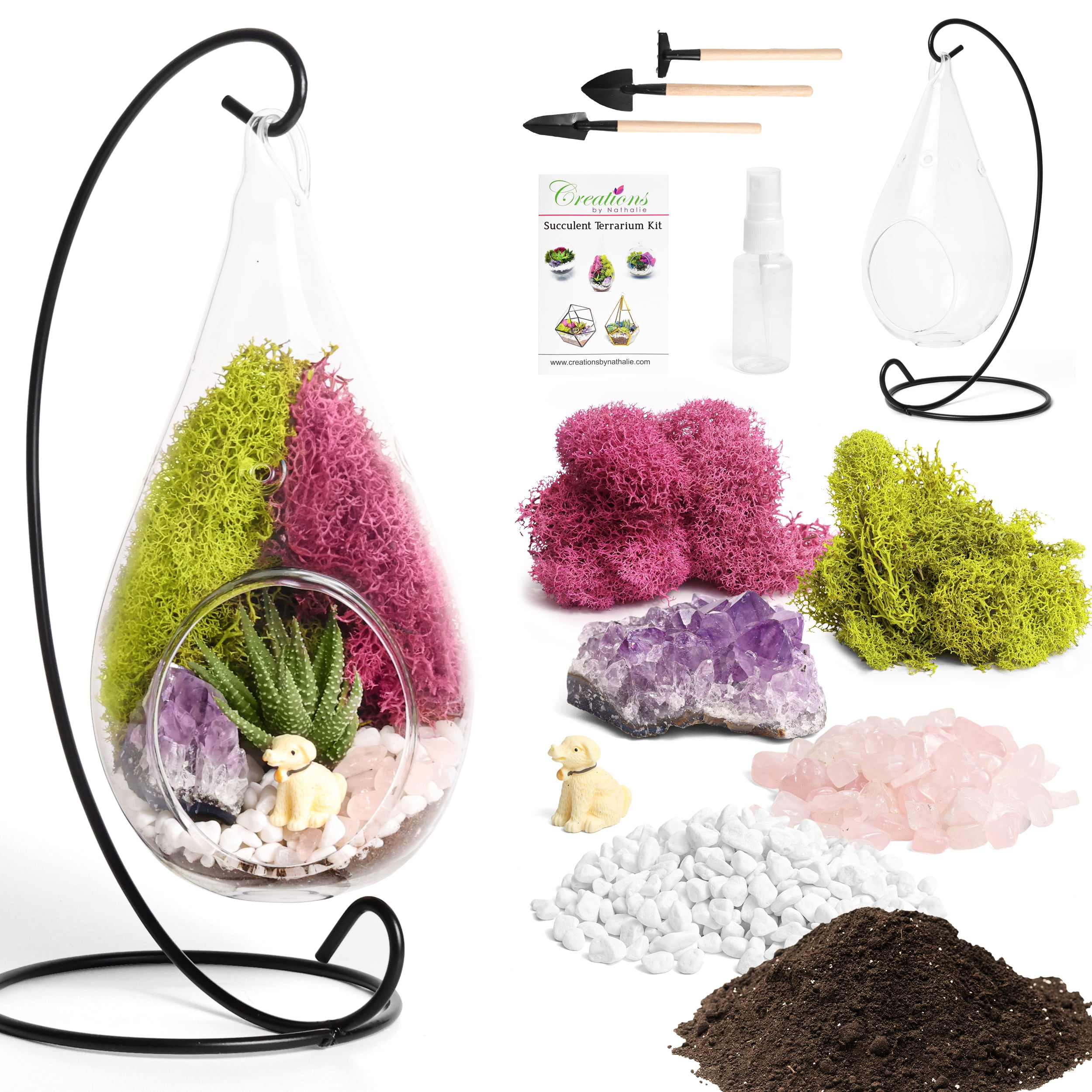 Creations by Nathalie DIY Terrarium Kit: Mini-Ecosystem with Teardrop ...