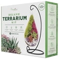 Creations by Nathalie - 7" Teardrop Glass Succulent Terrarium Kit for ...
