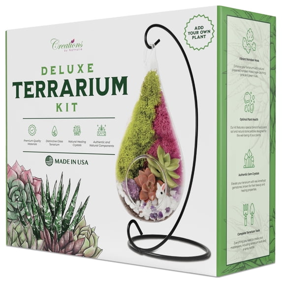 Creations by Nathalie - 7" Teardrop Glass Succulent Terrarium Kit for ...