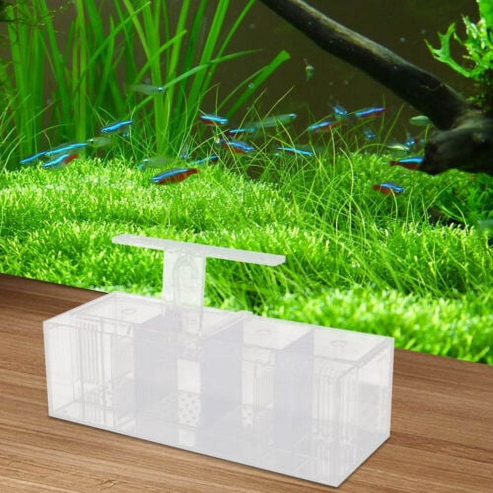 Creative Betta Fish Tank Breeding Incubator Isolation Box Water Free ...