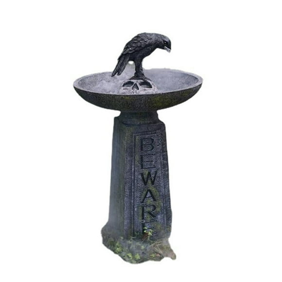 Bird Bath Crow