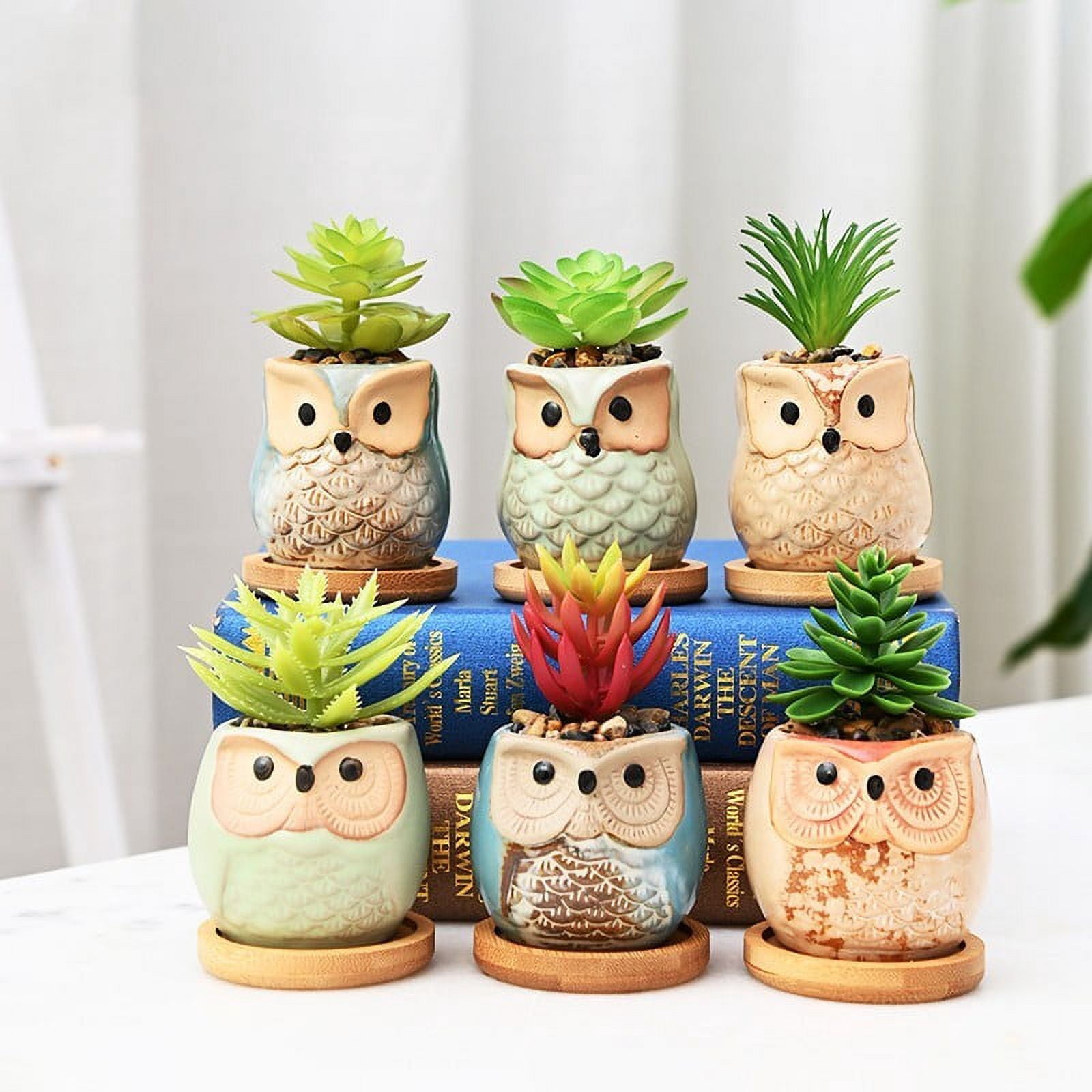 Creative Ceramic Mini Flowerpot with Cute Owl Design - Succulent ...