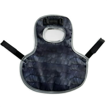 Hen Holster Bird Diaper/Harness (Made in USA) with Removable Vinyl ...