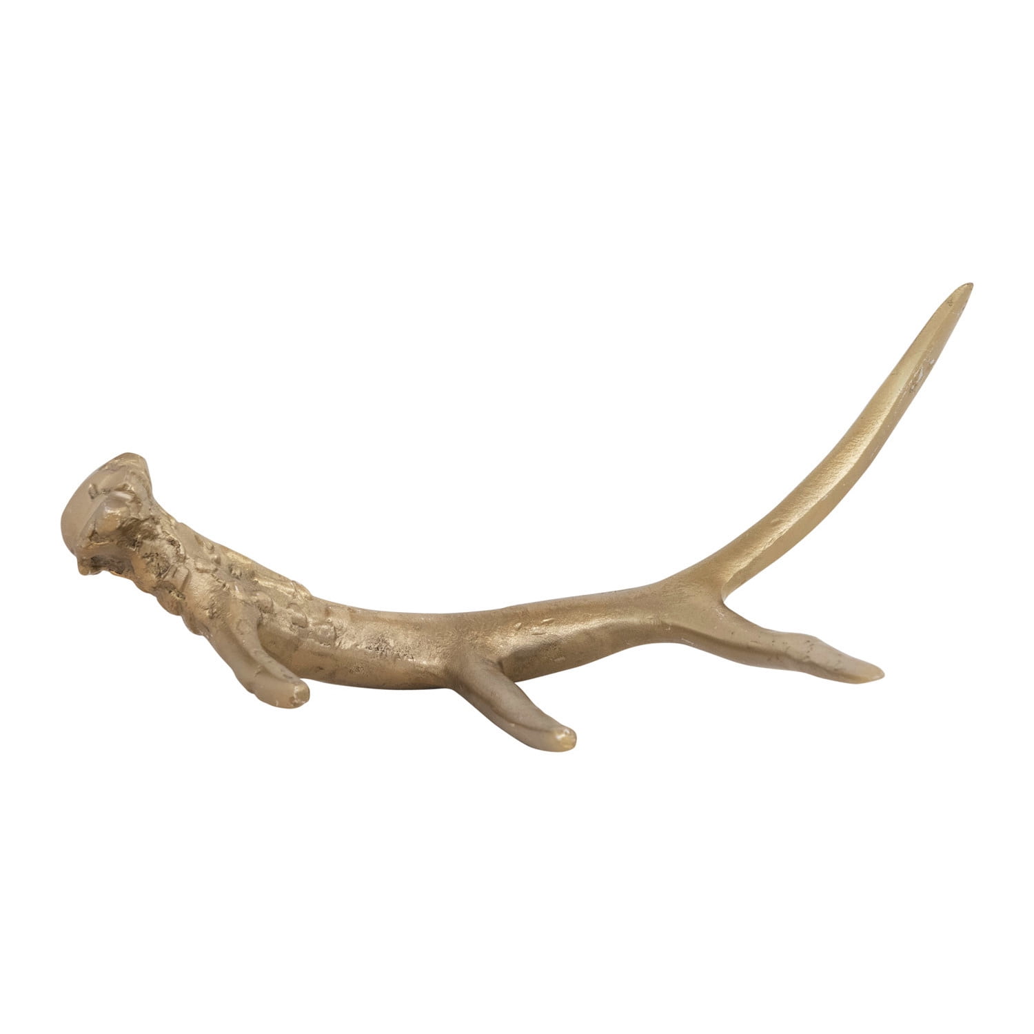 Grey Antler