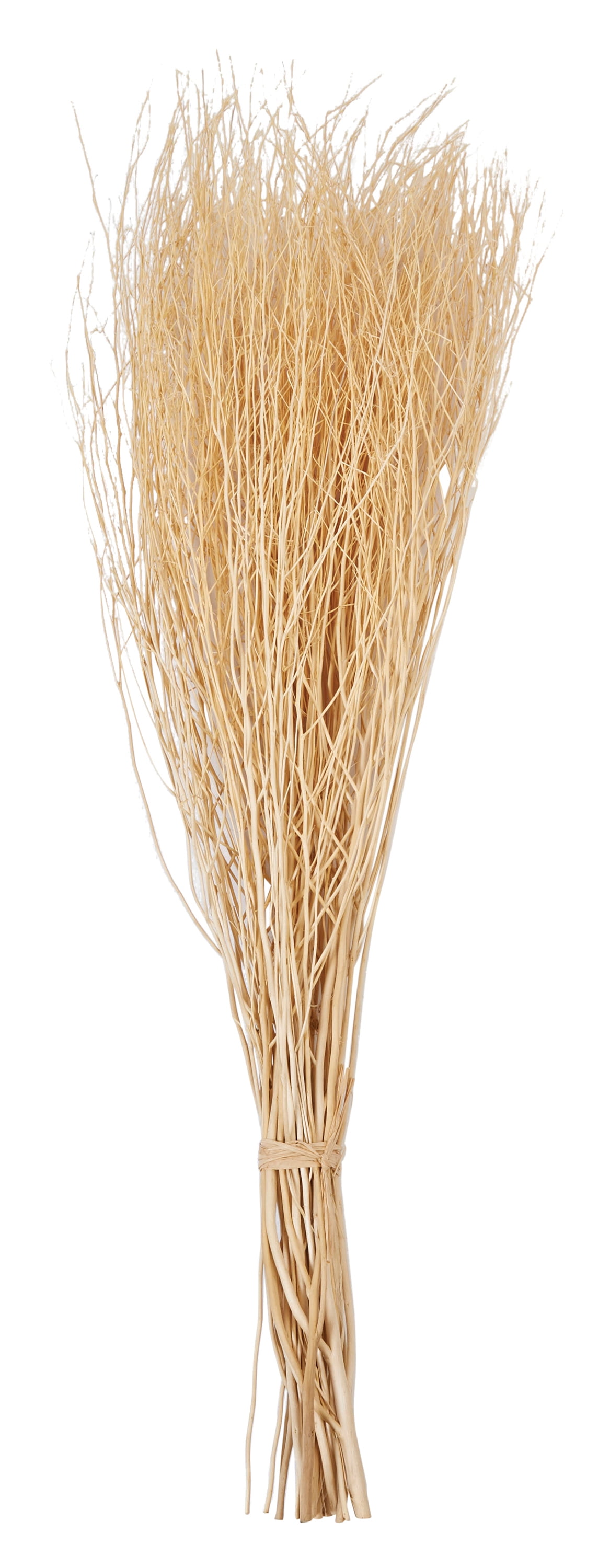 Creative Co-Op Approximately 40"H Dried Natural Jute Stick Bunch ...